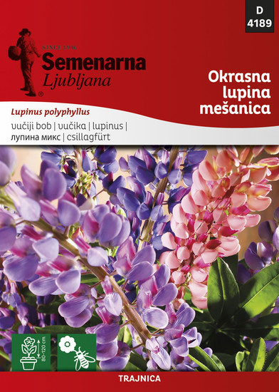 Cveće Vučika - mešavina - seme Lupinus Polyphyllus 4189