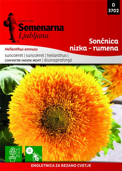 Seme za cveće - Suncokret niski žuti - Helianthus annuus 3702