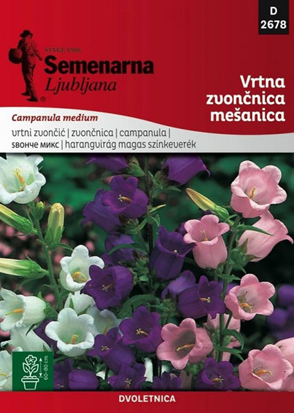 Cveće Zvončići - mešavina - seme Campanula medium 2678