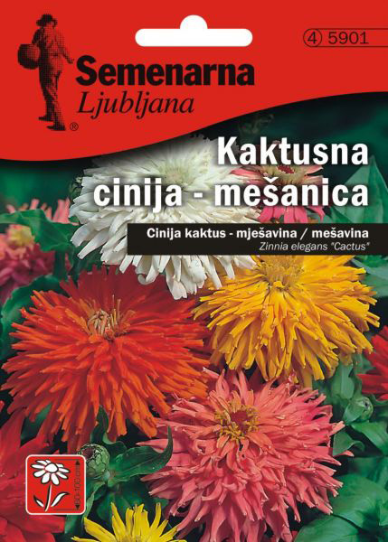 Seme za cveće Lepi čovek kaktus - mešavina - Zinnia elegans Cactus 5901