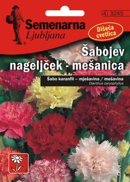 Seme za cveće Karanfil šabo - mešavina - Dianthus caryophyllus 3245