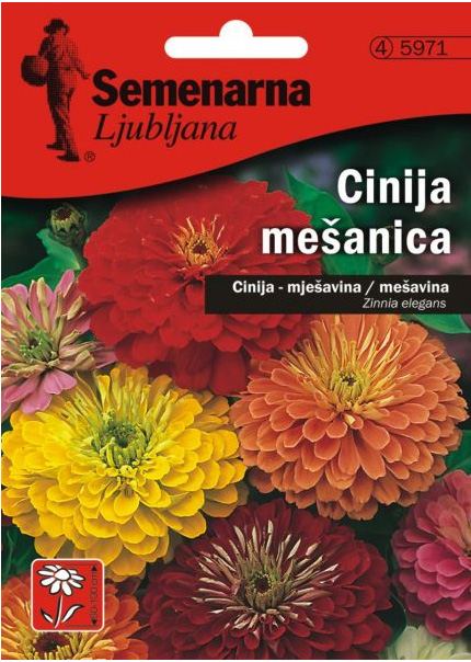 Baštensko cveće Lepi čovek - mešavina - Zinnia elegans 5971