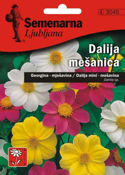 Seme za cveće Dalija - Georgina - mešavina - Dahlia sp. 5 kesica 3045