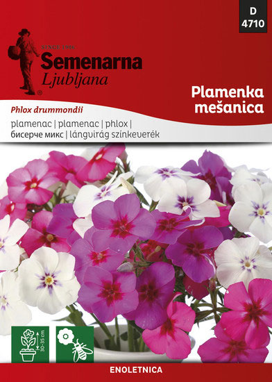 Seme za cveće Plamenac mešavina - Phlox drummondii 5 kesica 4710
