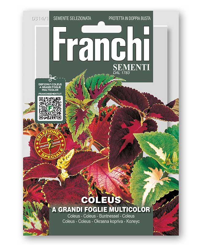 Ukrasna kopriva - Coleus - seme 10 kesica Franchi Sementi Virimax