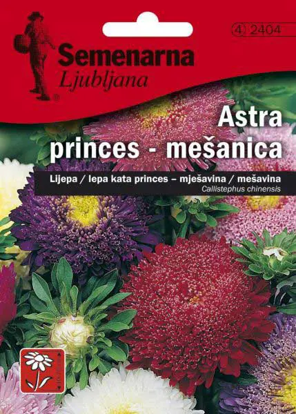 Seme 10 kesica Lepa Kata Princes - mešavina - Callistephus chinensis 2404