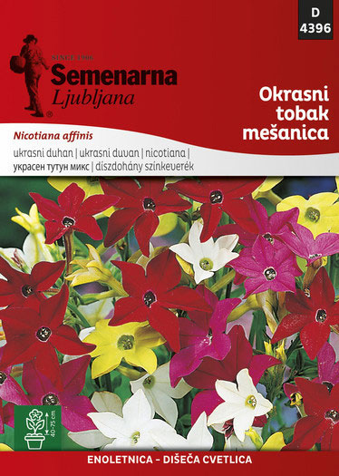 Seme za cveće 10 kesica Ukrasni duvan - mešavina - Nicotiana affinis 4396