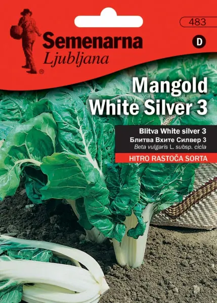 Seme za povrće - Blitva srebrnolisna - Beta vulgaris ssp. vulgaris var. cicla 483