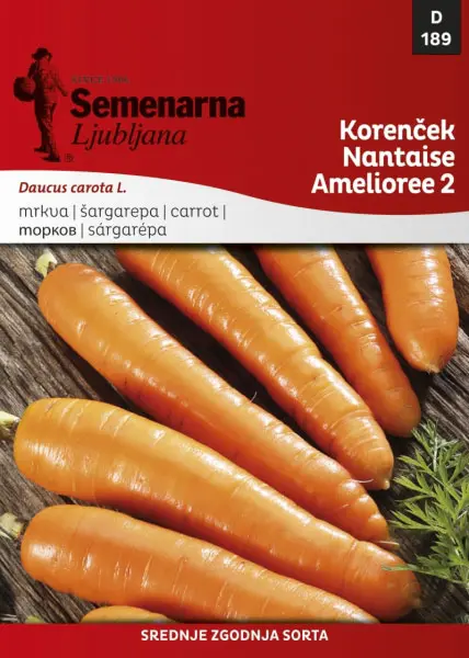 Seme za povrće - Šargarepa Nantes - Daucus carota L. 189