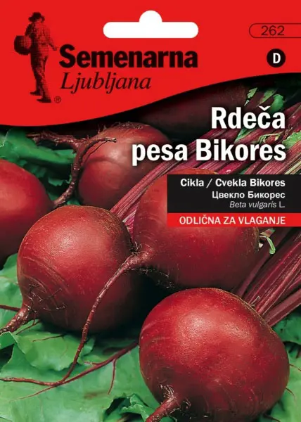 Cvekla bikor - seme - Beta vulgaris L. var. conditiva 50g