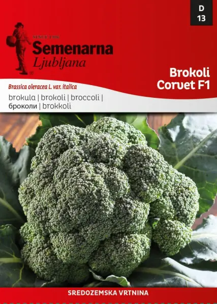 Povrće - seme 5 kesica - Brokoli Korvet F1- Brassica oleracea L. var. italica - 13