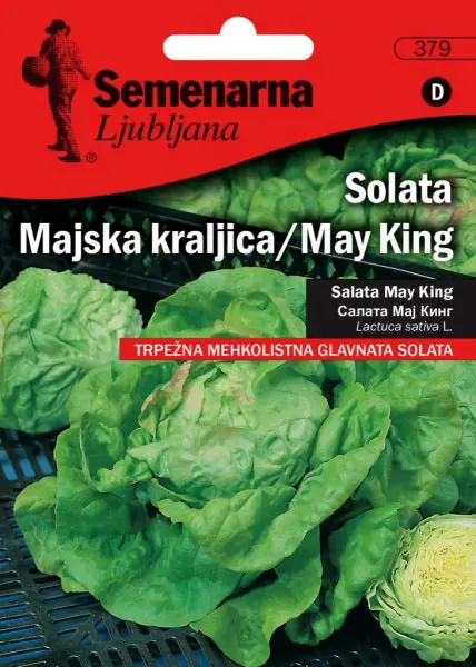 Seme 10 kesica - Zelena salata majska kraljica - Lactuca sativa L. 379