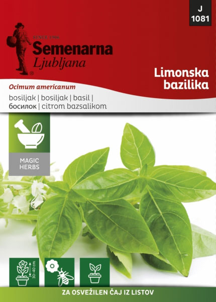Seme za začinsko bilje - Limunski Bosiljak - Ocimum basilicum L. 1081