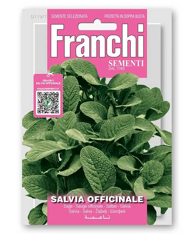 Žalfija seme 5 kesica Franchi Sementi Virimax