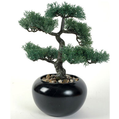 Bonsai u Keramičkoj Saksiji 36cm