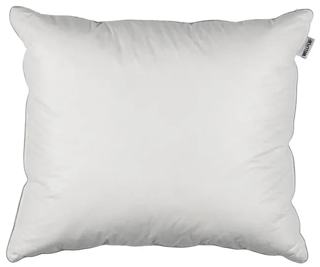 Jastuk od memorijske pene Wellpur Hurricane 42x65x14