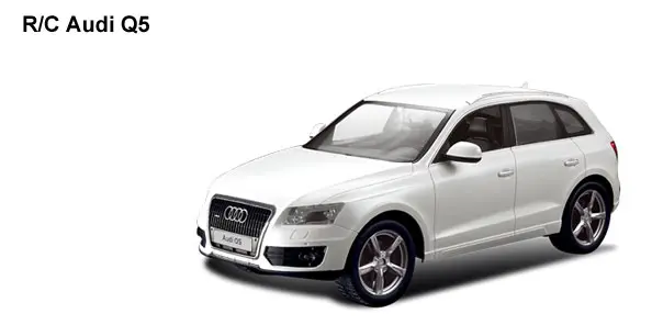 Rastar RC Automobil Audi Q5 1:24 6210133