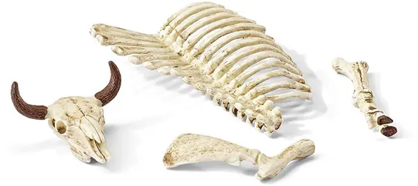 Schleich Figure - Kosti divljih životinja 42249