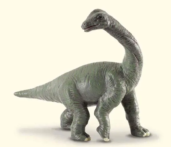 Collecta Dinosaurus beba Brahiosaurusa CT88200