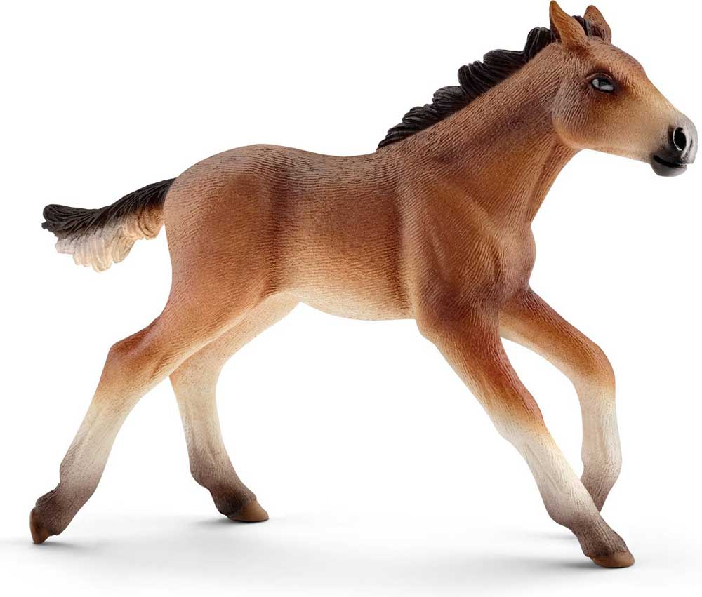 Schleich Domaće životinje - Mustang konj - ždrebe