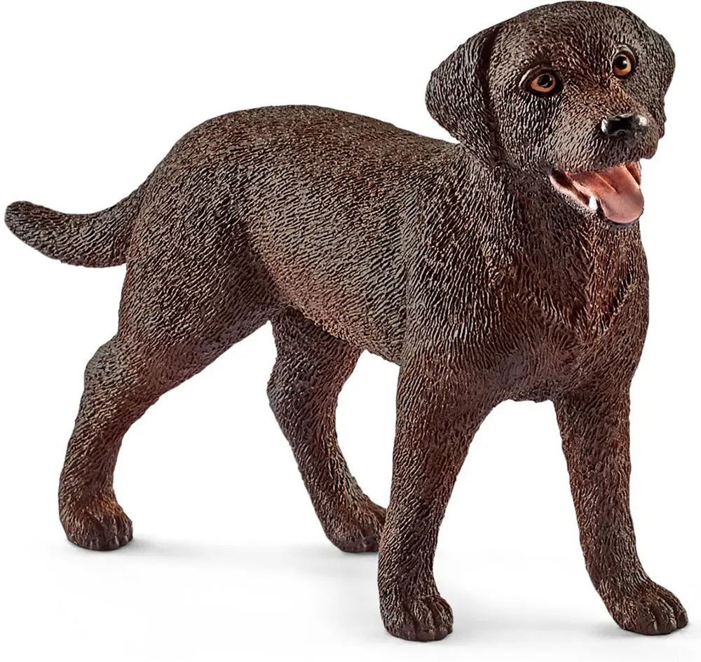 Schleich Domaće životinje - Pas labrador - ženka 13834