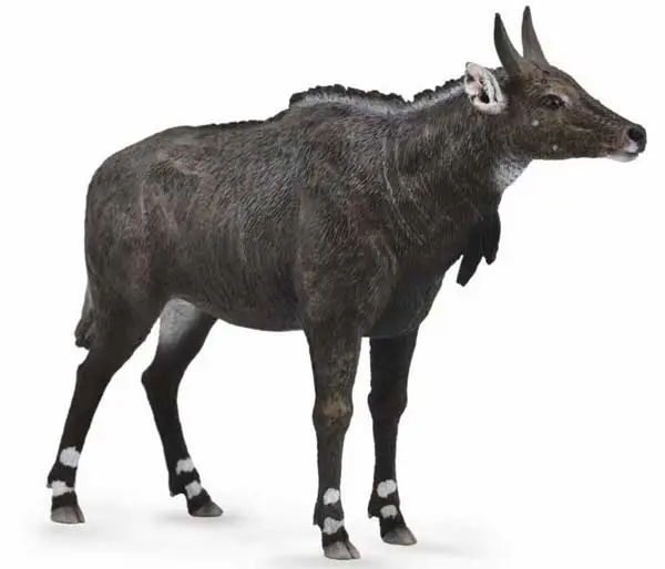 Collecta Figura Nilgai CT88764