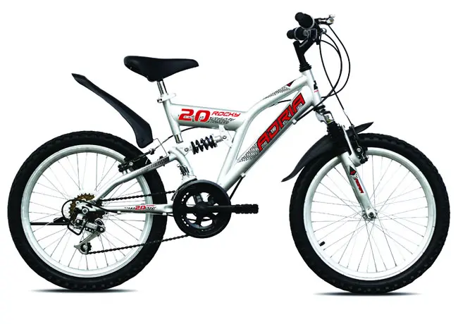 Dečiji bicikl Adria Rocky 20HT Anniversary 916005 siva