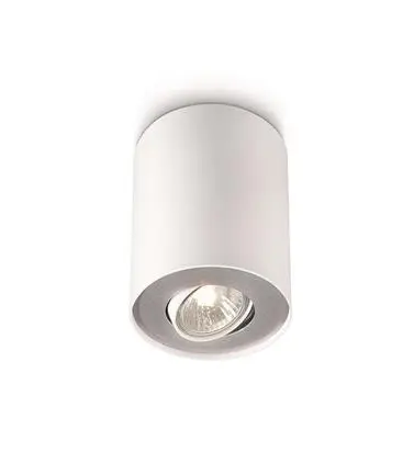 Philips Pillar spot svetiljka bela 1xmax50W