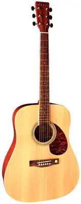 Tenson akustična gitara D10 natural F501.310