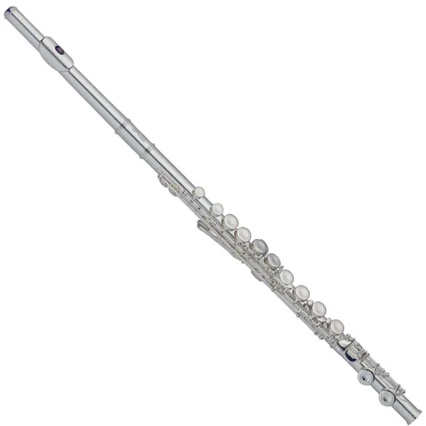 Flauta Stagg WS-FL211