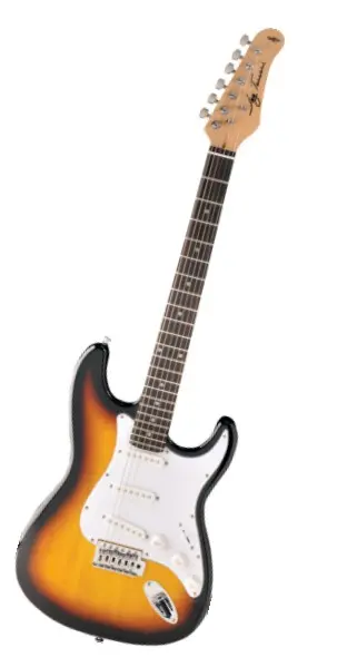 Jay Turser AMS JT 300 TS električna gitara