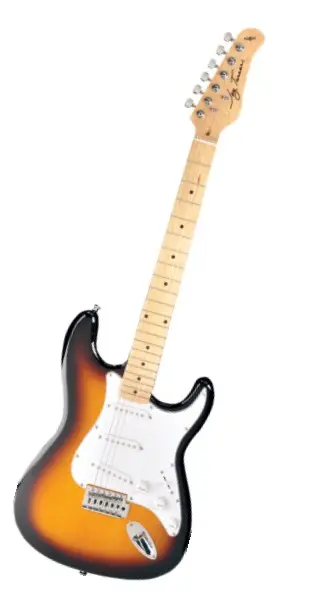 Jay Turser AMS JT 300M TSB električna gitara