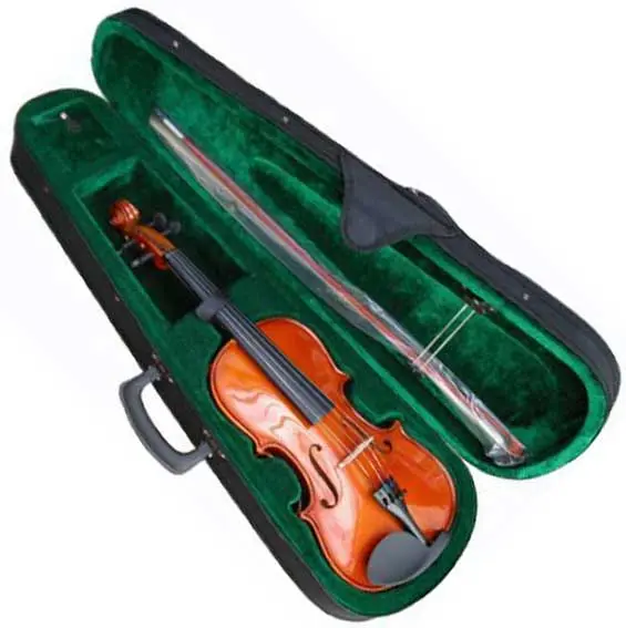 Violina sa koferom Eclipse CX-S140 1/2