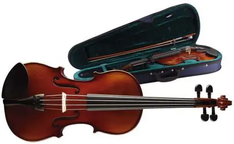 Stagg VN 4/4 školska violina