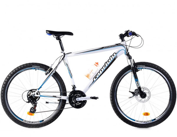 Mountain Bike MTB Anaconda 26/21HT bela-crna-plava 905420-22