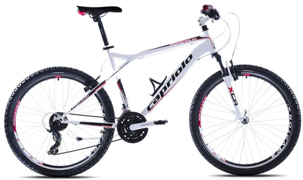Mountain Bike MTB ADRENALIN 26/21HT 905432-20