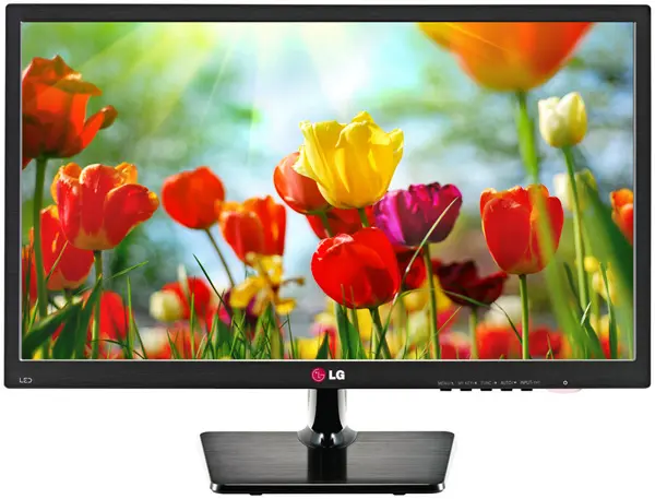 LG LED Monitor Dijagonale 49 cm 20EN33SS