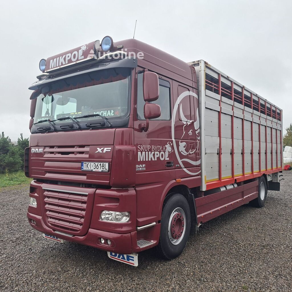 DAF XF 105.460 kamion za prevoz stoke