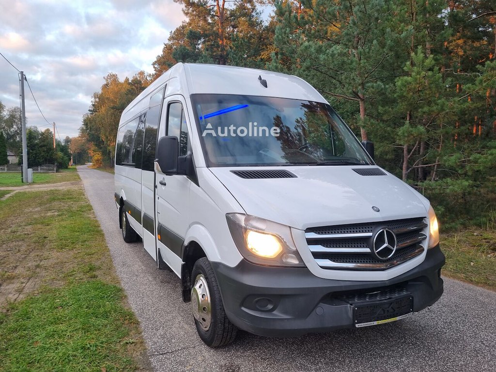 Mercedes-Benz Sprinter 516 putnički minibus