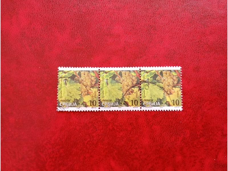 Srb. 105*