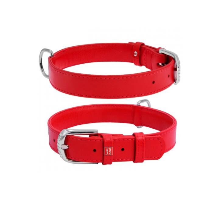 CLR WD OGRLICA ZA PSE 38-49 CM - CRVENA A2202630
