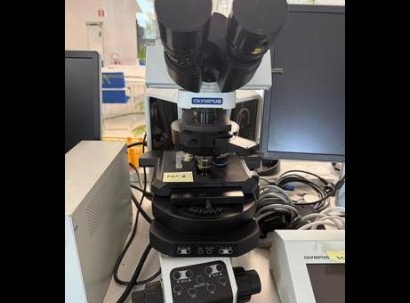 OLYMPUS MICROSCOPE BX3-CBH mikroskop