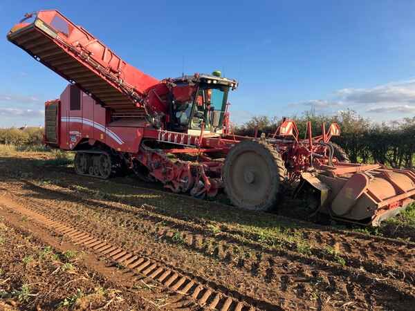 Grimme VARITRON 470 PLATINUM TT kombajn za krompir