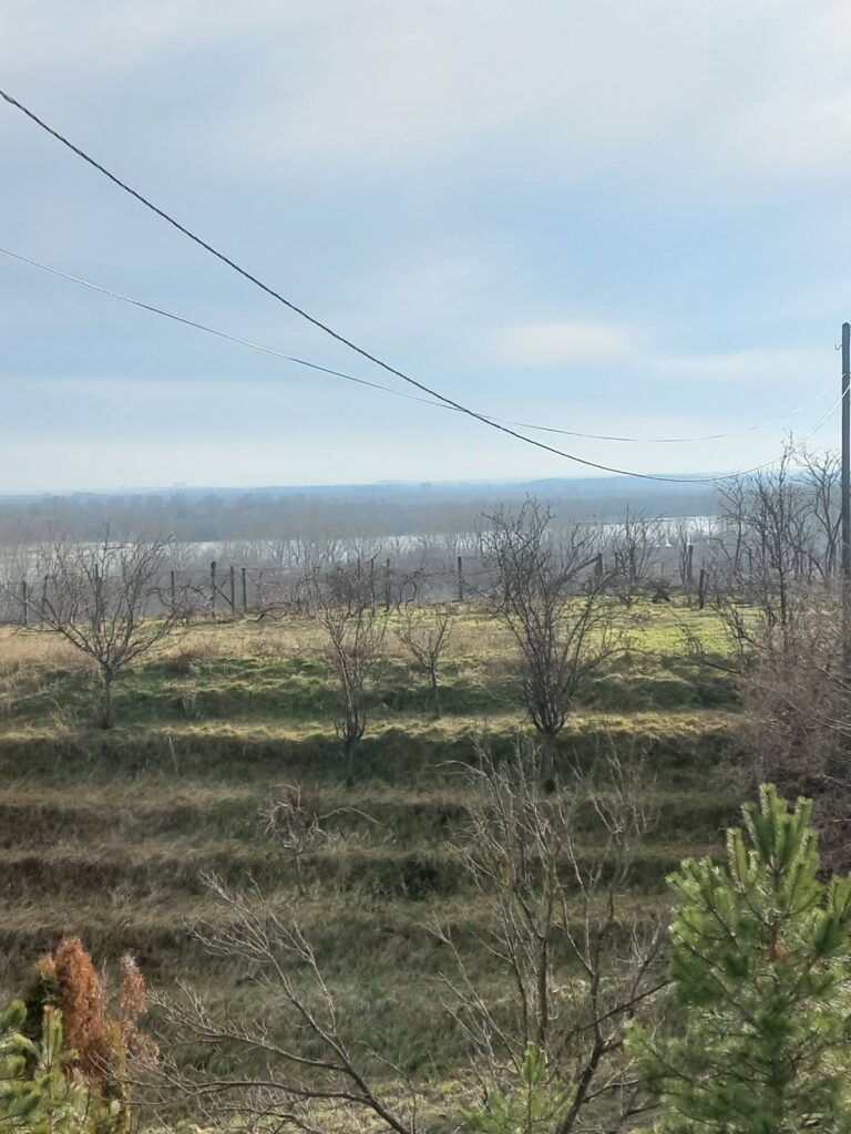 Plac sa pogledom na Dunav-Belegis