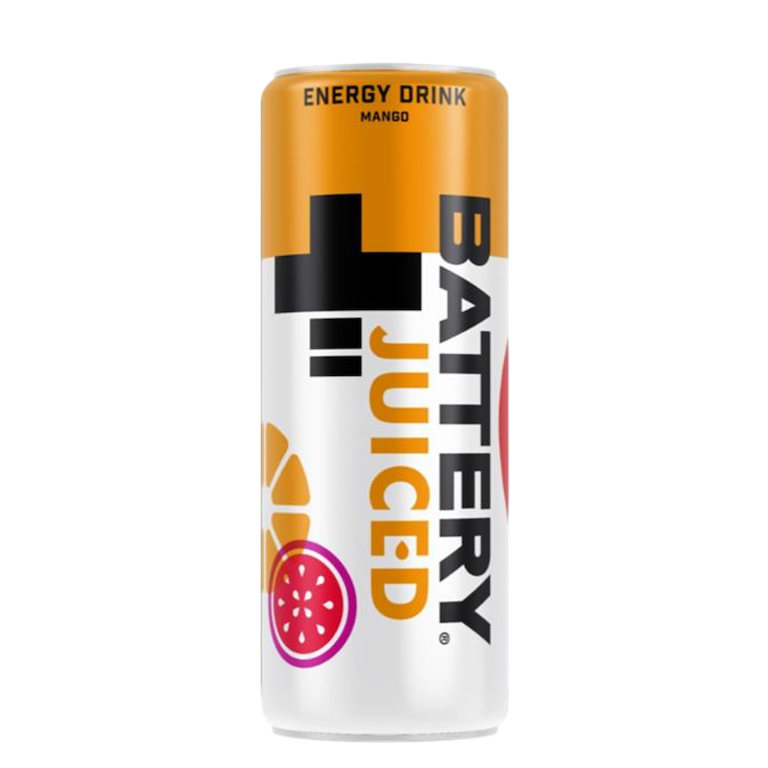 Battery Mango 0,25l CAN