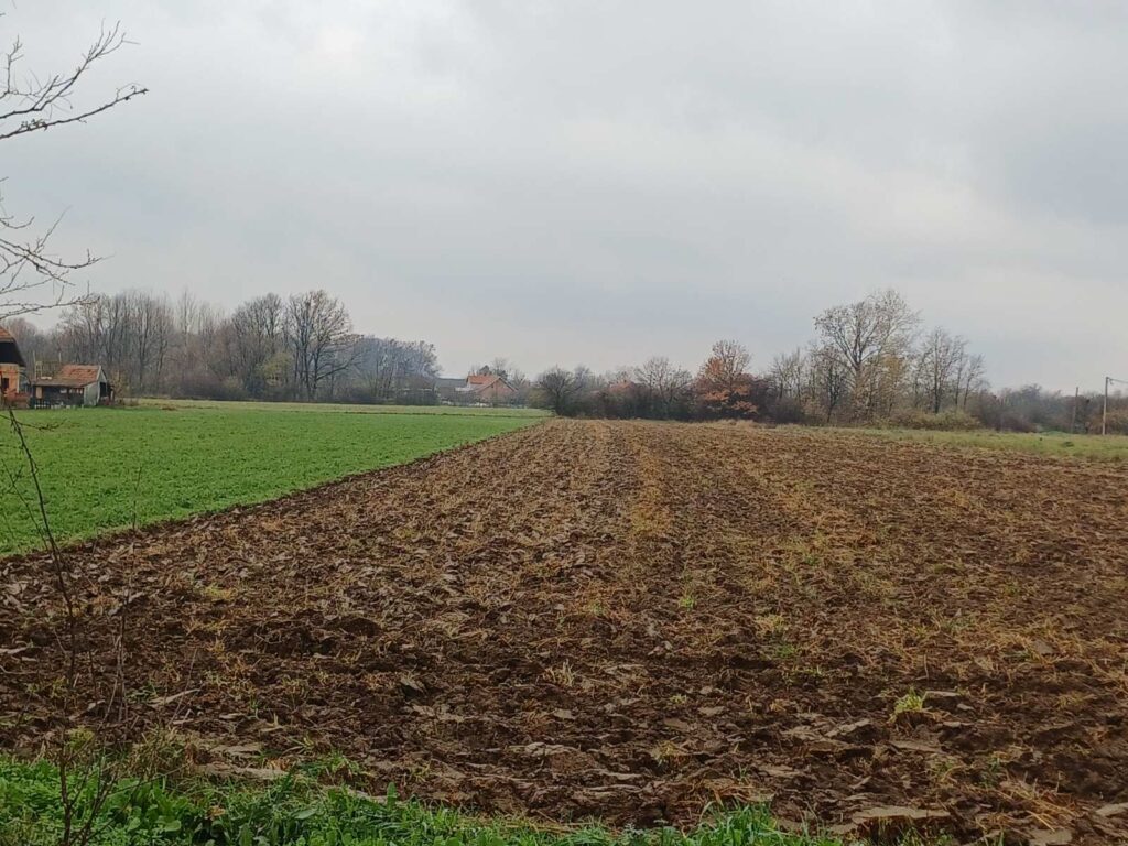 Građevinski plac 110 ari, Veliko Polje, Obrenovac, 110.000€