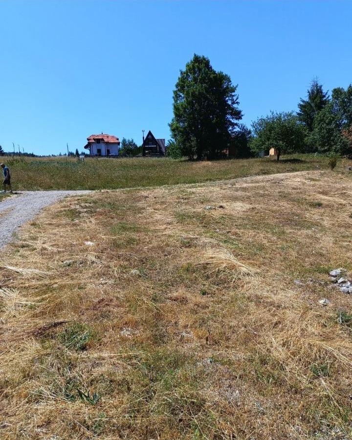 Plac na Tari-Osluša