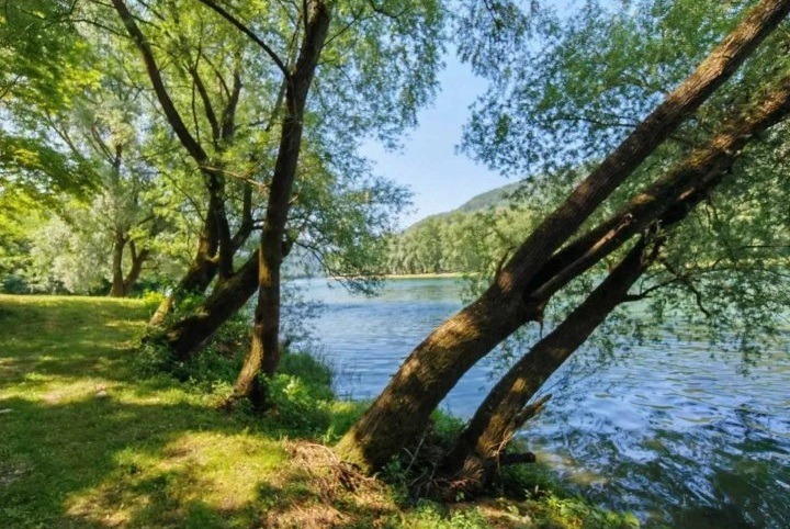 Placevi na prodaju Gornja Trešnjica-Ljubovija