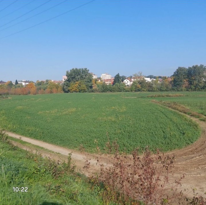 Plac od 46 ari u Kraljevu, KO RIbnica k.p 58/1