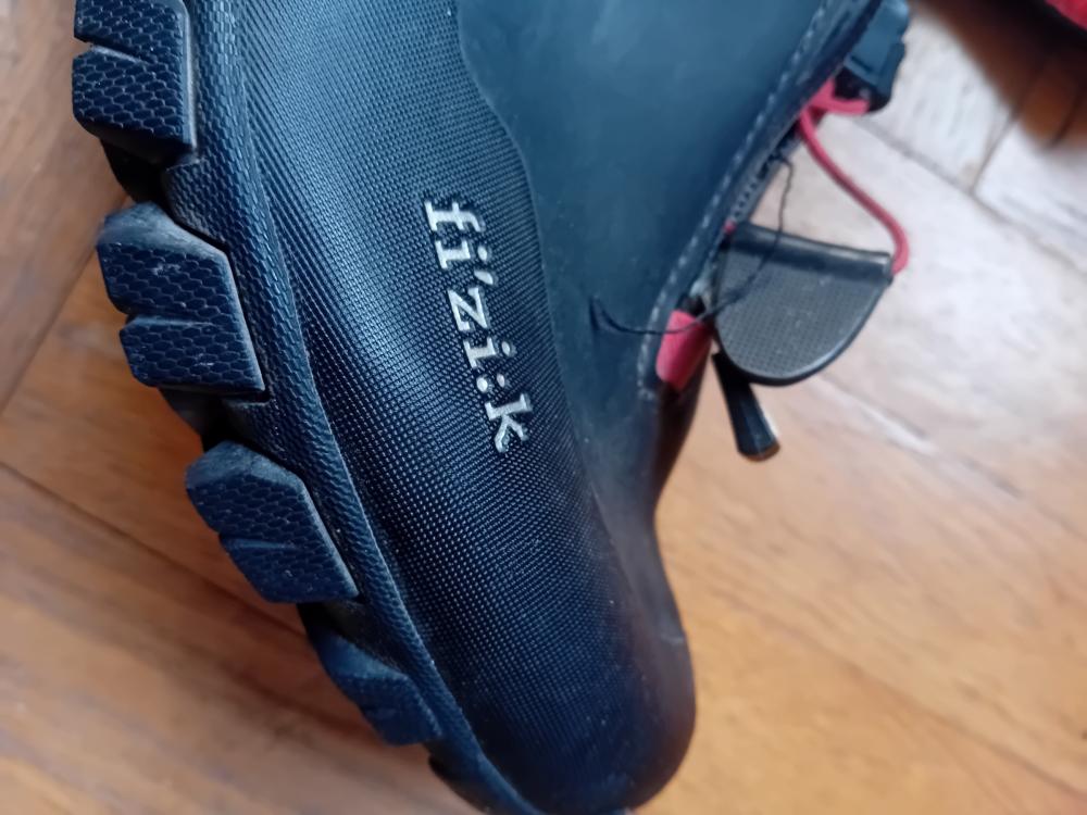 Fizik zimske sprinterice